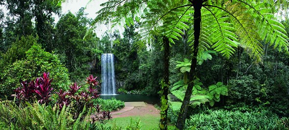 Explore the Amazing Atherton Tablelands